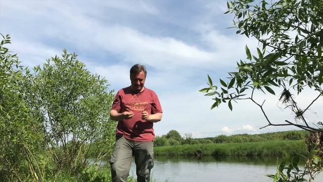 река Нерская. 24 май 2018 год..mp4