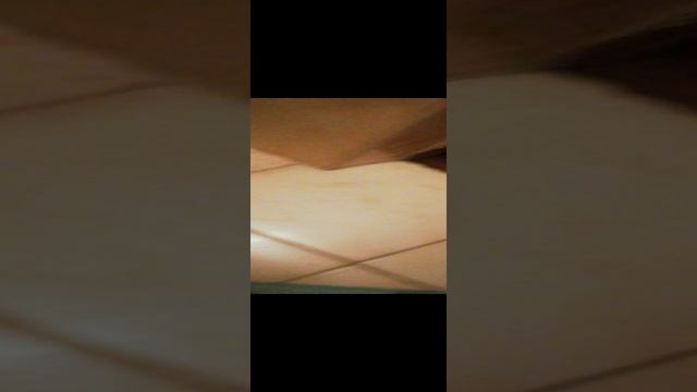 #ДЖУНИОР И КАКАЦ