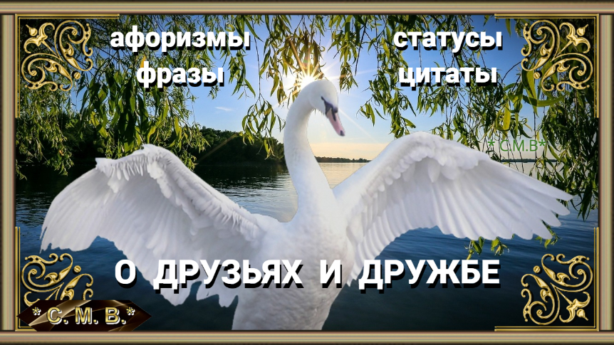 "О ДРУЗЬЯХ И ДРУЖБЕ" - афоризмы, фразы, статусы, цитаты (музыкальное видео)