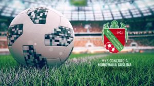 Concordia Murowana Goślina - Meblorz Swarzędz