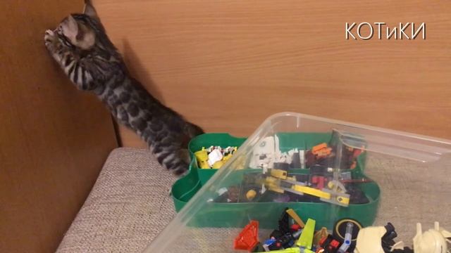 Ирискины игрушки