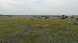 Сердце Африки. Самые редкие животные планеты. Трансформатор в Уганде