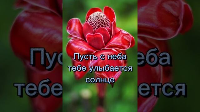 Хорошего дня