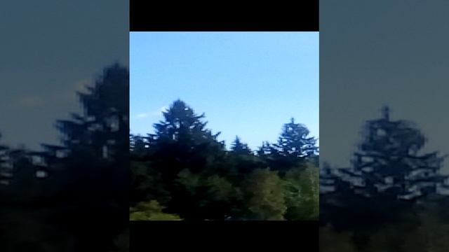 VID_20230825_101102.3gp