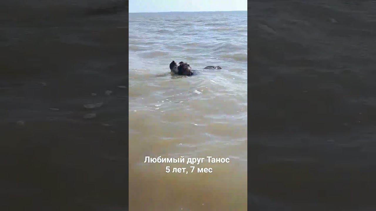 Наше старшее поколение москвичей
