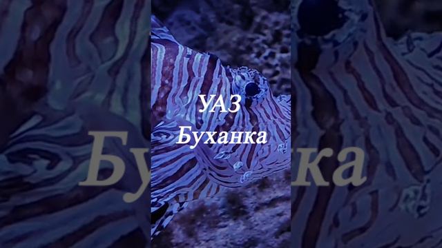 Рестайлинг