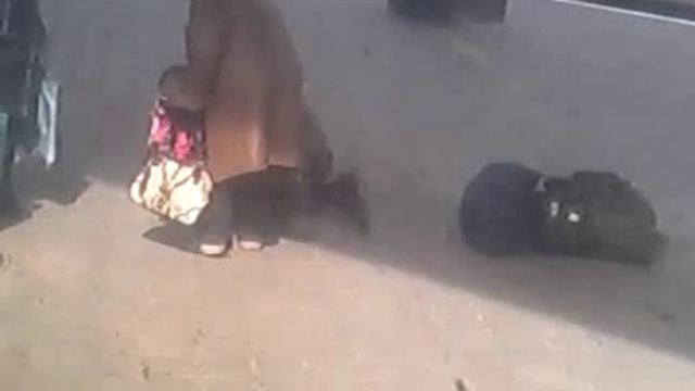 Приключения в Харькове