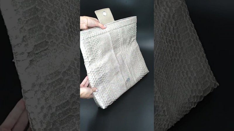Клатч Рэй Чарльз из НАТУРАЛЬНОГО питона Celine
