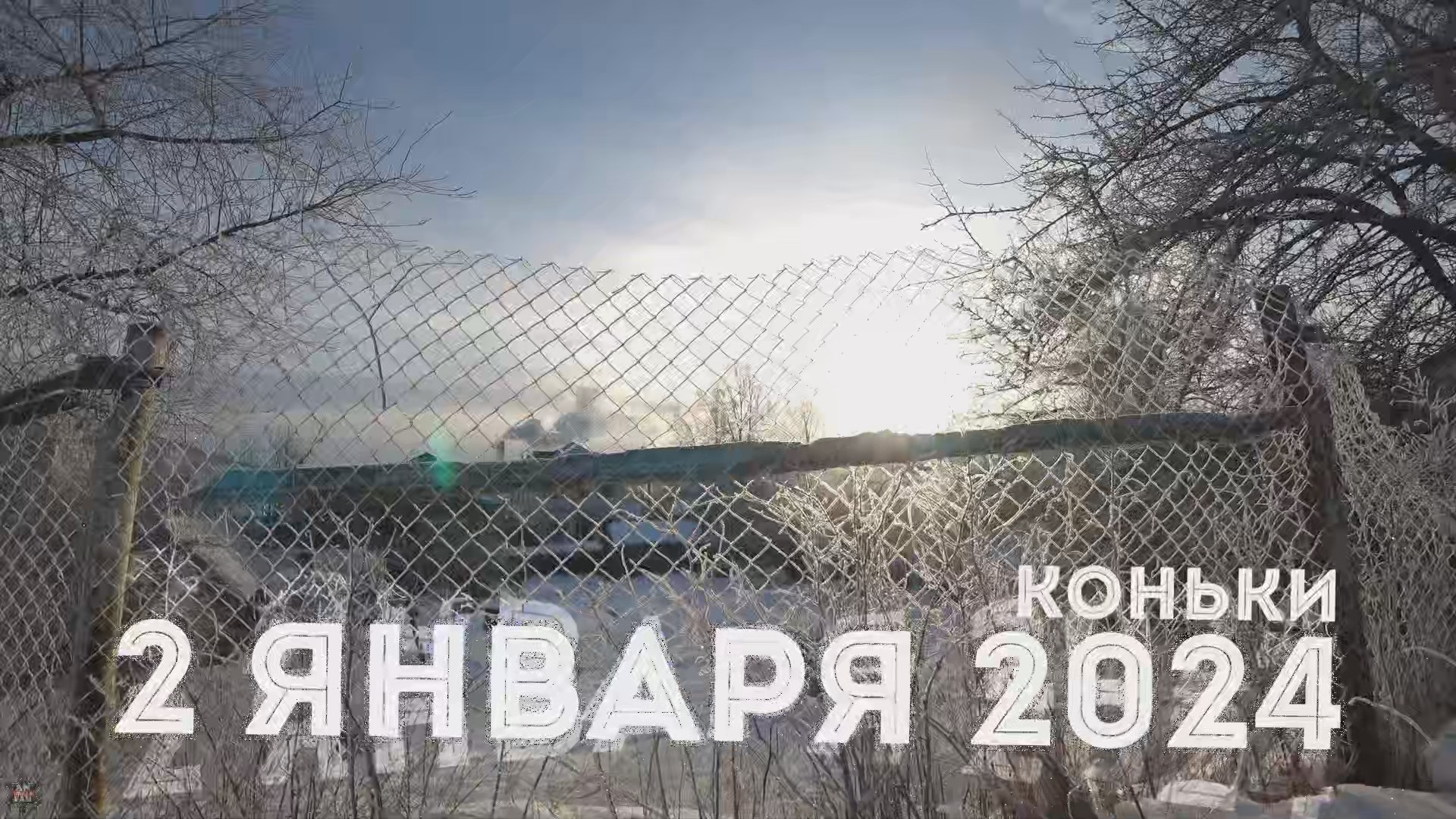 ANUF_LIFE_Коньки_2.01.2024