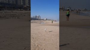 VID_1690356655228.mp4