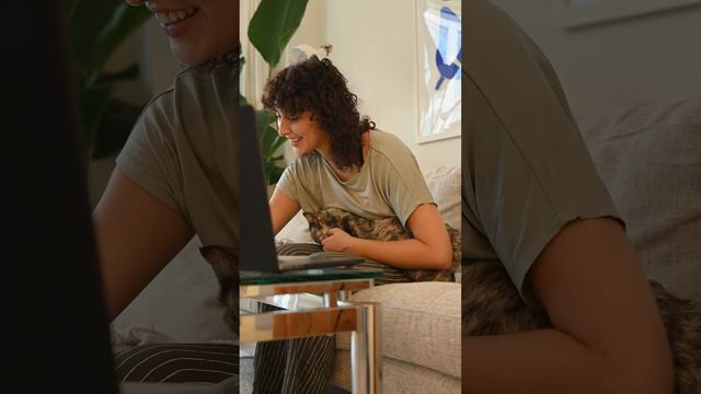THE BIGGEST MAINE COON CATS