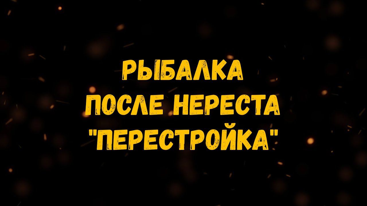 Рыбалка после нереста "Перестройка"