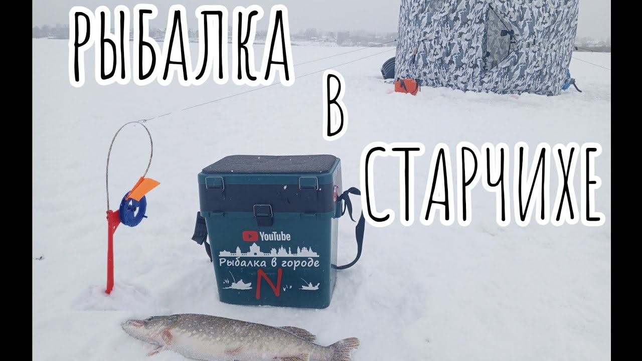 Рыбалка в СТАРЧИХЕ.