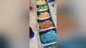 ЦВЕТНЫЕ ЦЫПЛЯТА @