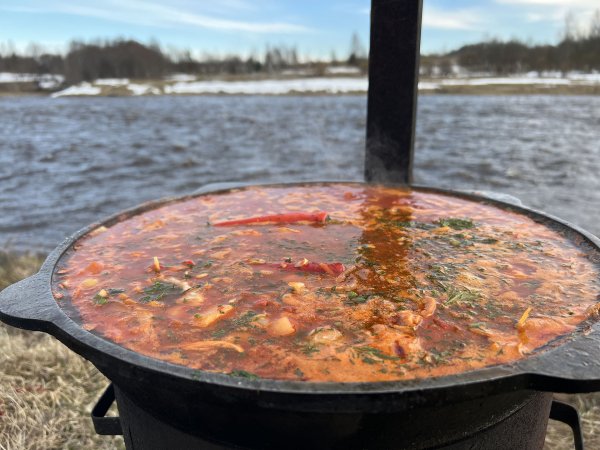 Когда захотелось вкусного борща