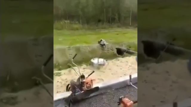 Рабочий день в полном разгаре.mp4