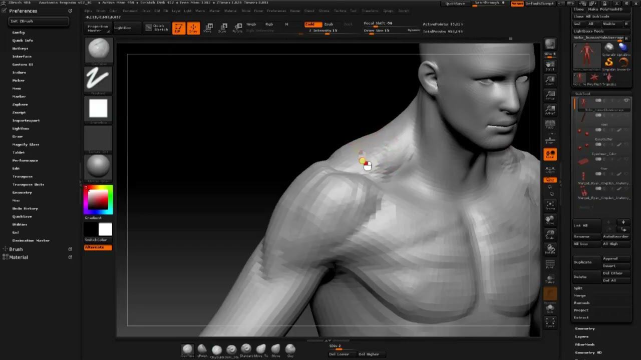 Anat Vol 01 13  Trapezius 3 3