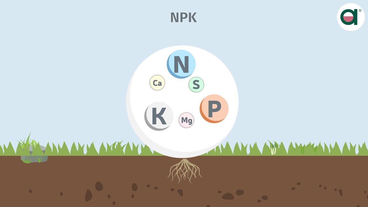 NPK Complex Fertilisers