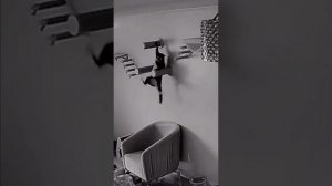 Юмор с котами и не только 😂