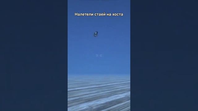 (SHORTS ПЕРЕЗАЛИВ) Подходит :P