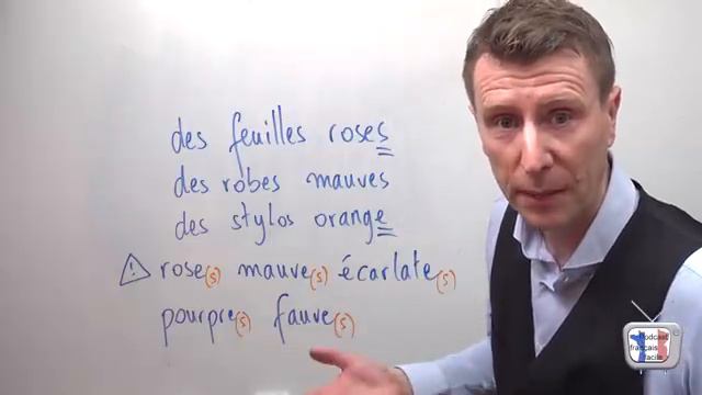 Accord adjectifs de couleur - Comment accorder les couleurs en français