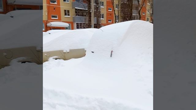 15.12.23 #Липецк накрыли небывалые снегопады!?Ни пройти, ни проехать! #зима #снег #сугробы #shorts