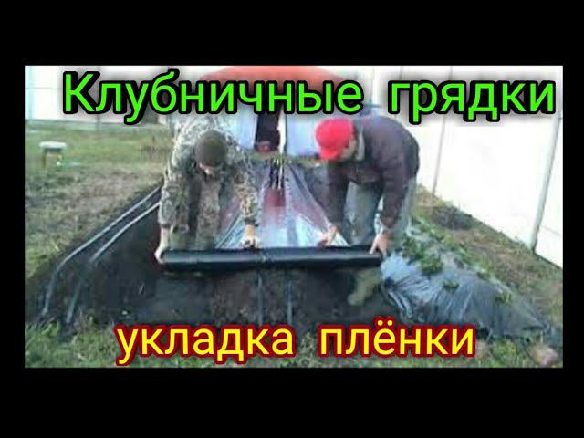Грядки для клубники на Кубани- 2 этап
