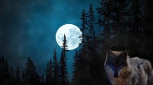 Wolf Howls, Nature At Night. Sleep, Relax, Peaceful [1 HOUR] Ambient Sounds, Music, and Imagery