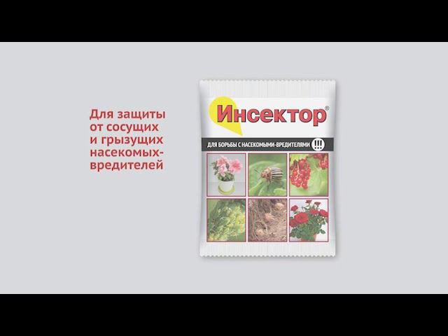ИНСЕКТОР- ДЕЙСТВЕННЫЙ ПРЕПАРАТ ПРОТИВ САДОВЫХ ВРЕДИТЕЛЕЙ