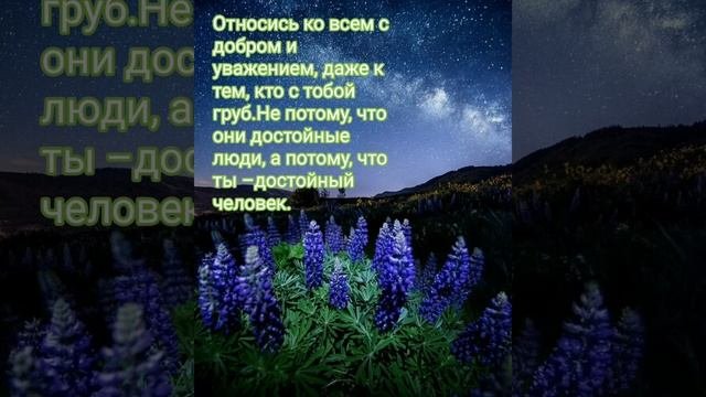 Смысловая цитата #3