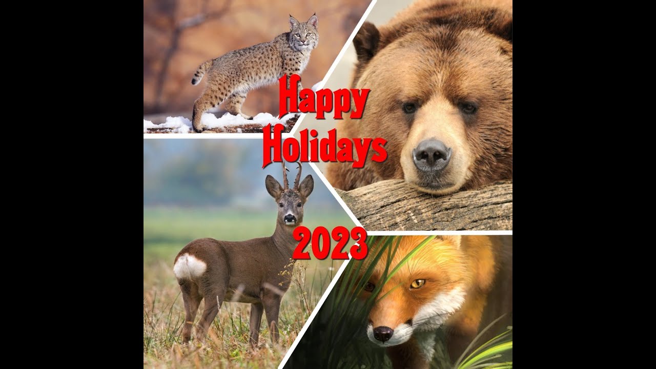 The Hunter classic(Happy Holidays 2023)