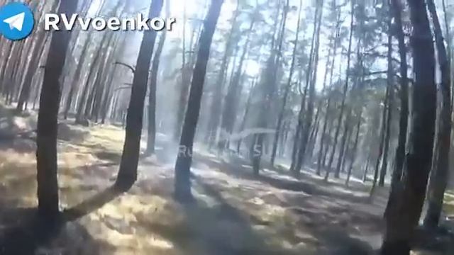 Боевые кадры_ Спецназ Отважных оказывает первую помощь раненому прямо посреди боя