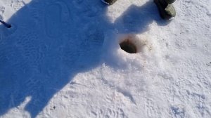 Ловим плотву на карьере.