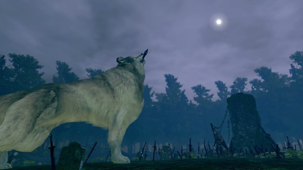 DARK SOULS™  REMASTERED - случайно встретил волка