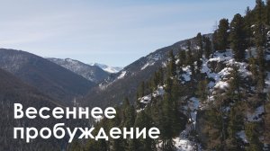 Весеннее пробуждение