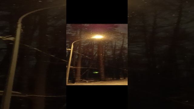 Тест
