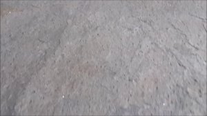 Каменный шпон Leaf Stone Verde. СПб. 2019 год. Тел. 337-51-79. — копия