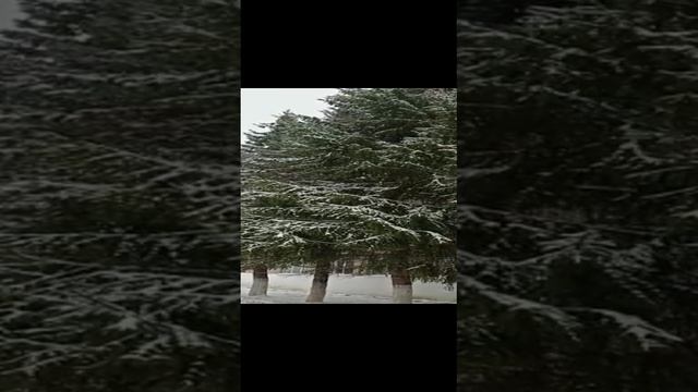 Подготовка к Новому году