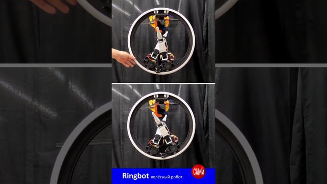 робот Ringbot как дройдек из «Звёздных Войн»#shorts