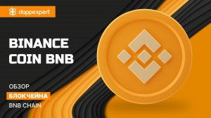 Binance Coin BNB. Обзор блокчейна BNB Chain