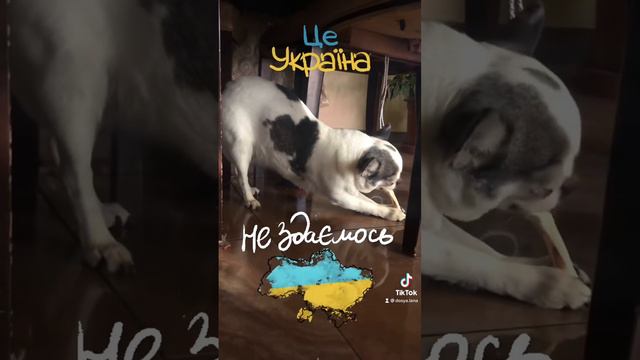 Новий рік 🙈