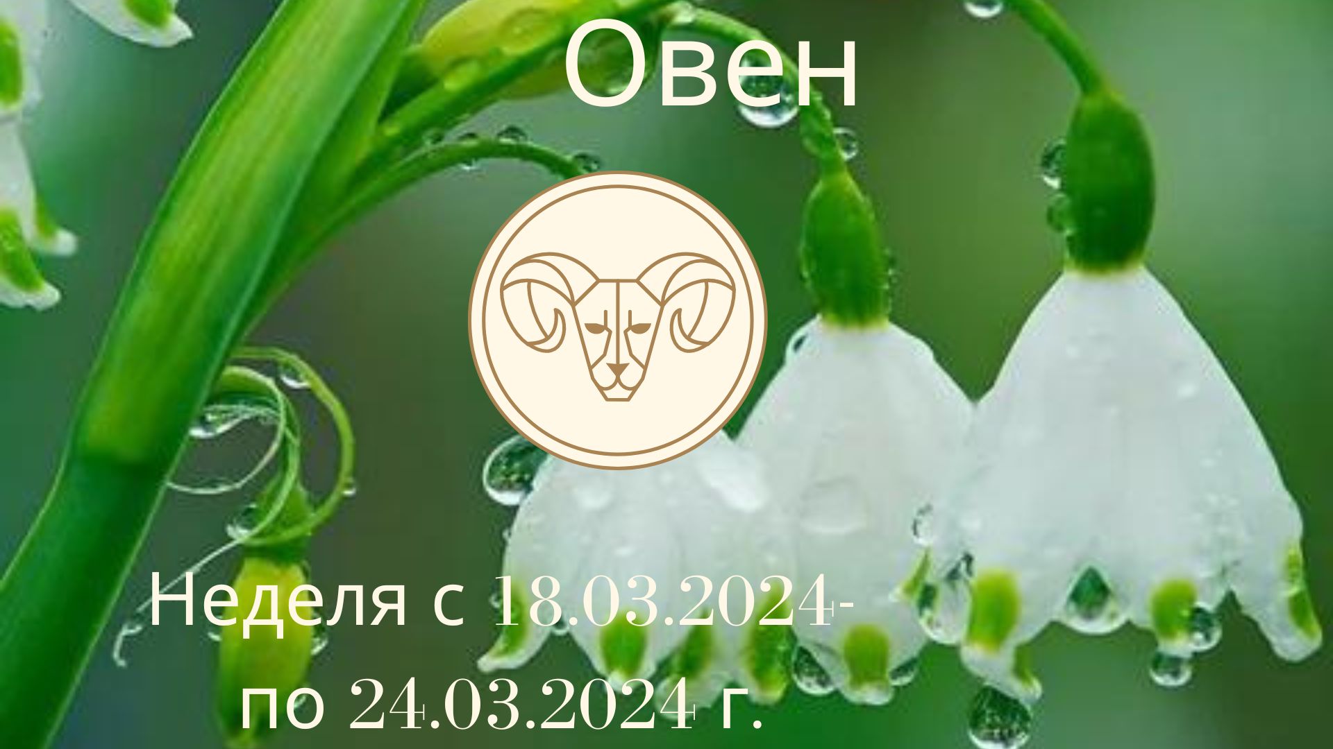Овен. Гороскоп на неделю с 18 марта по 24 марта 2024 года.