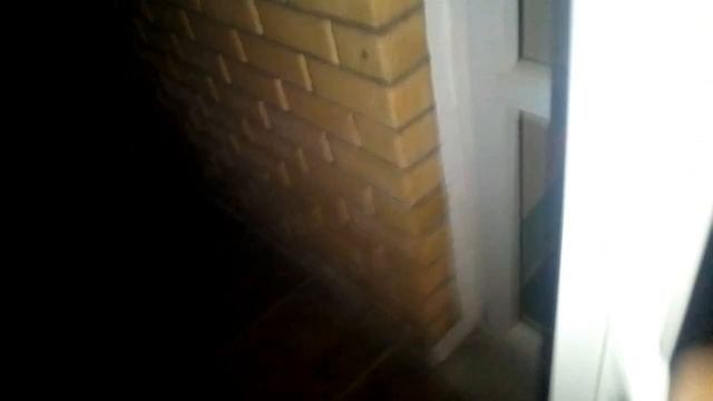 ТОК-ШОУ "Пати на хате" Туса№9  "Взаймы"(Серия10)