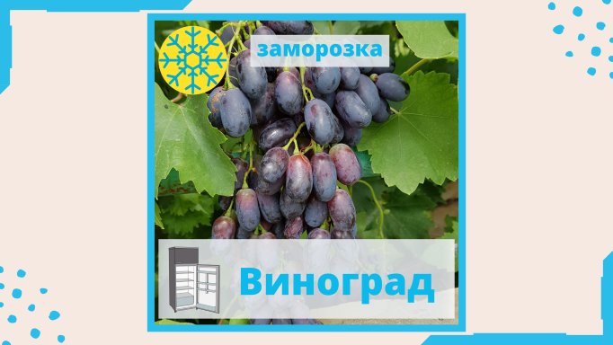 Виноград заморозка.mp4