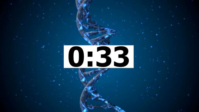 SCIENCE 02
