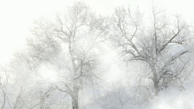 Футаж. Зимний пейзаж 113