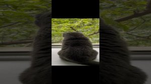 Подкрался не заметно )