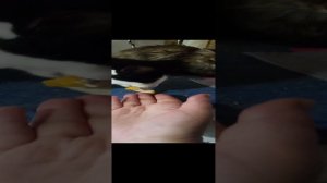 VID_20211027_134259.mp4