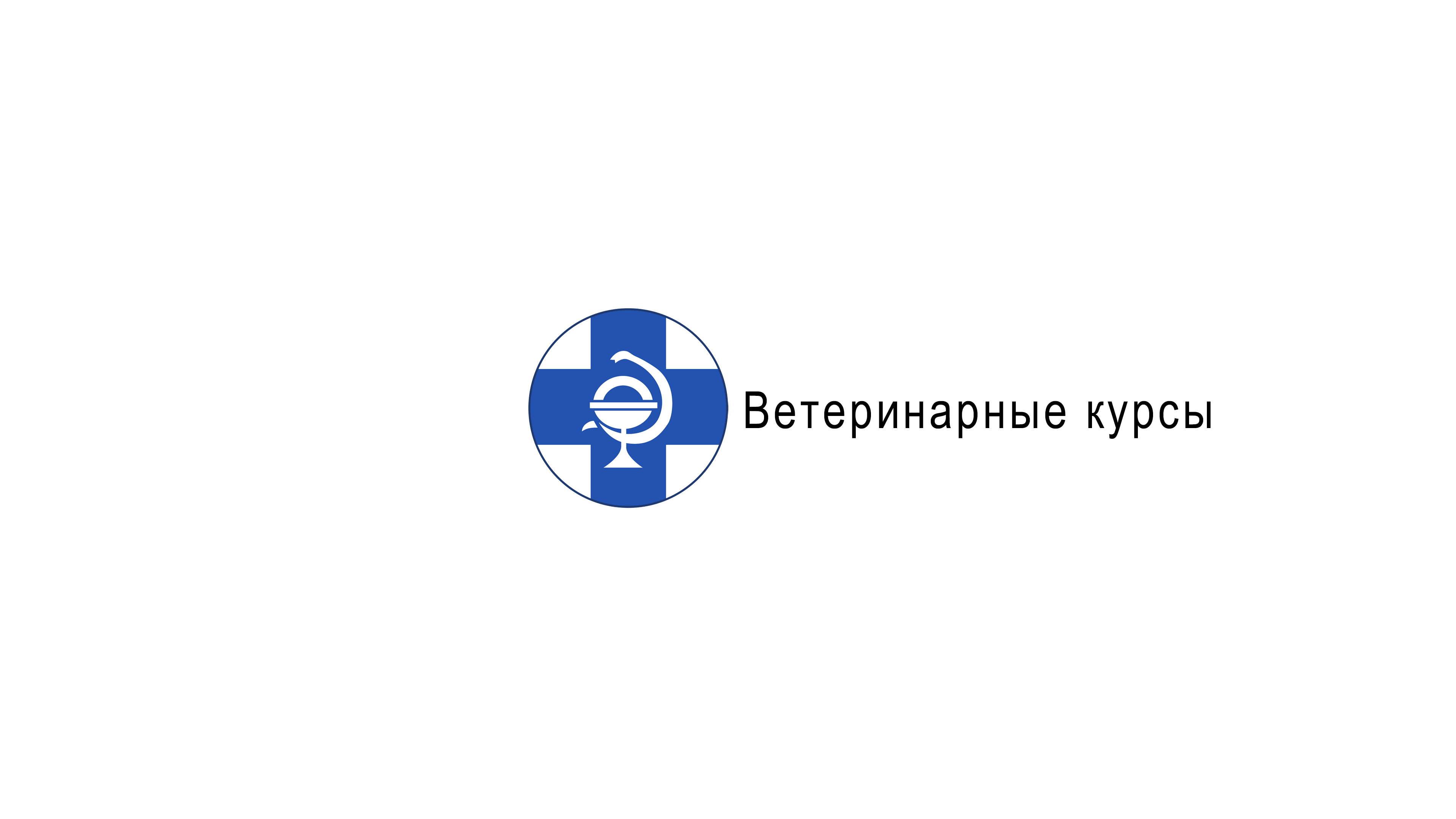 Летальные вирусные инфекции кошачий