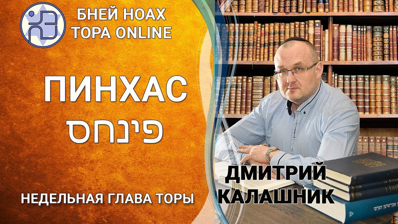 Недельная глава ПИНХАС (פִּינְחָס) || Дмитрий Калашник || 5782